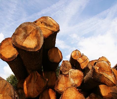 De Specialist In Eikenhout | Eikenhout.nl